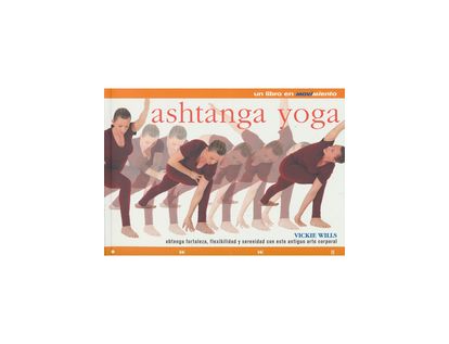 Zen y el arte de cambiar el mundo - Panamericana